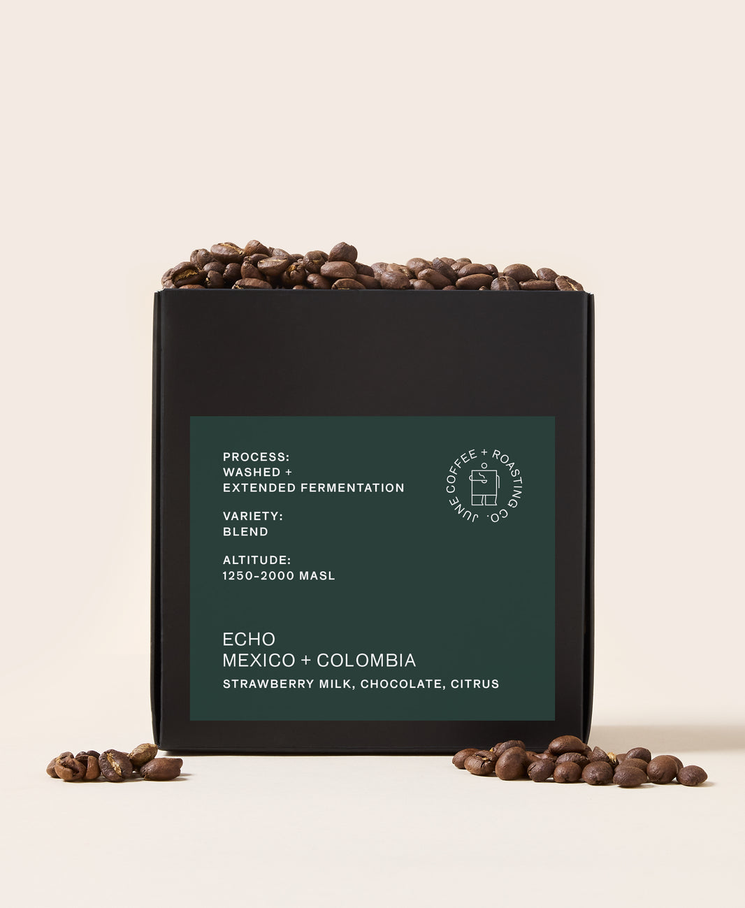 June Coffee – Specialty Roaster & Café in Birmingham, AL